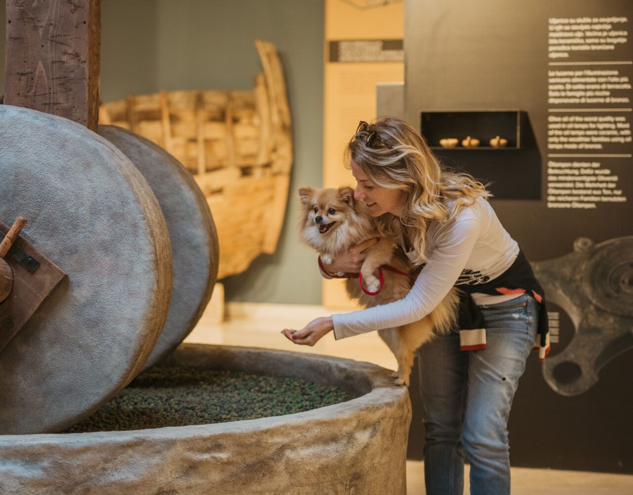 Bitterness of olive oil | Why is the oil bitter?